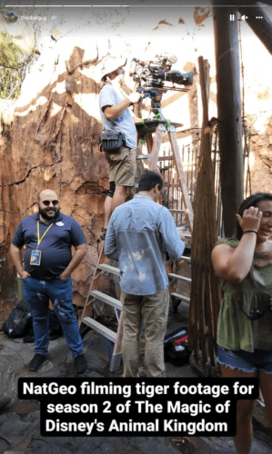 Filming is Under Way for Season 2 of 'Magic of Disney's Animal Kingdom ...