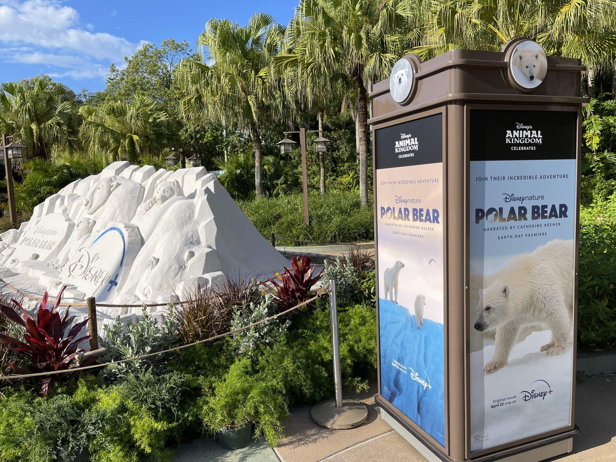 Sand Sculpture for Disneynature ‘Polar Bear’ Debuts at Disney’s Animal ...