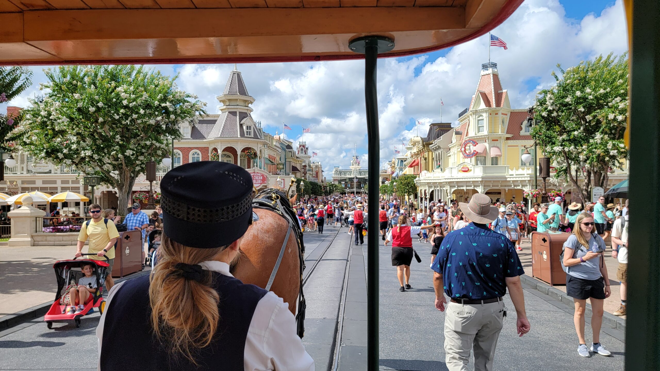 Main Street Transportation Horse Drawn Trolley returns to the Magic ...