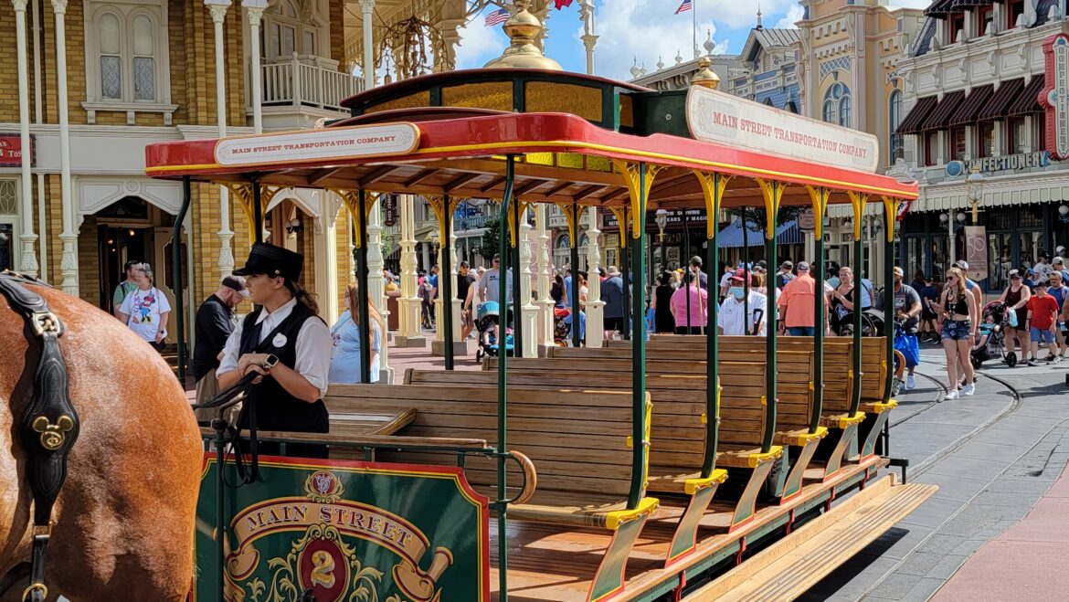 Main Street Transportation Horse Drawn Trolley returns to the Magic ...