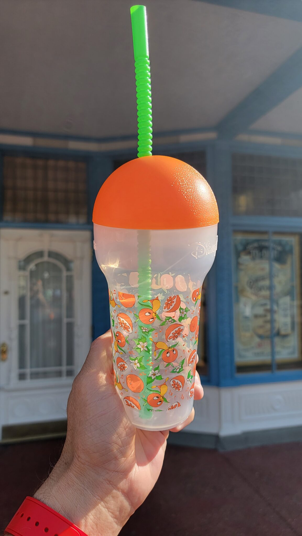 Super Cute Orange Bird Cup now available in the Magic Kingdom | Chip ...