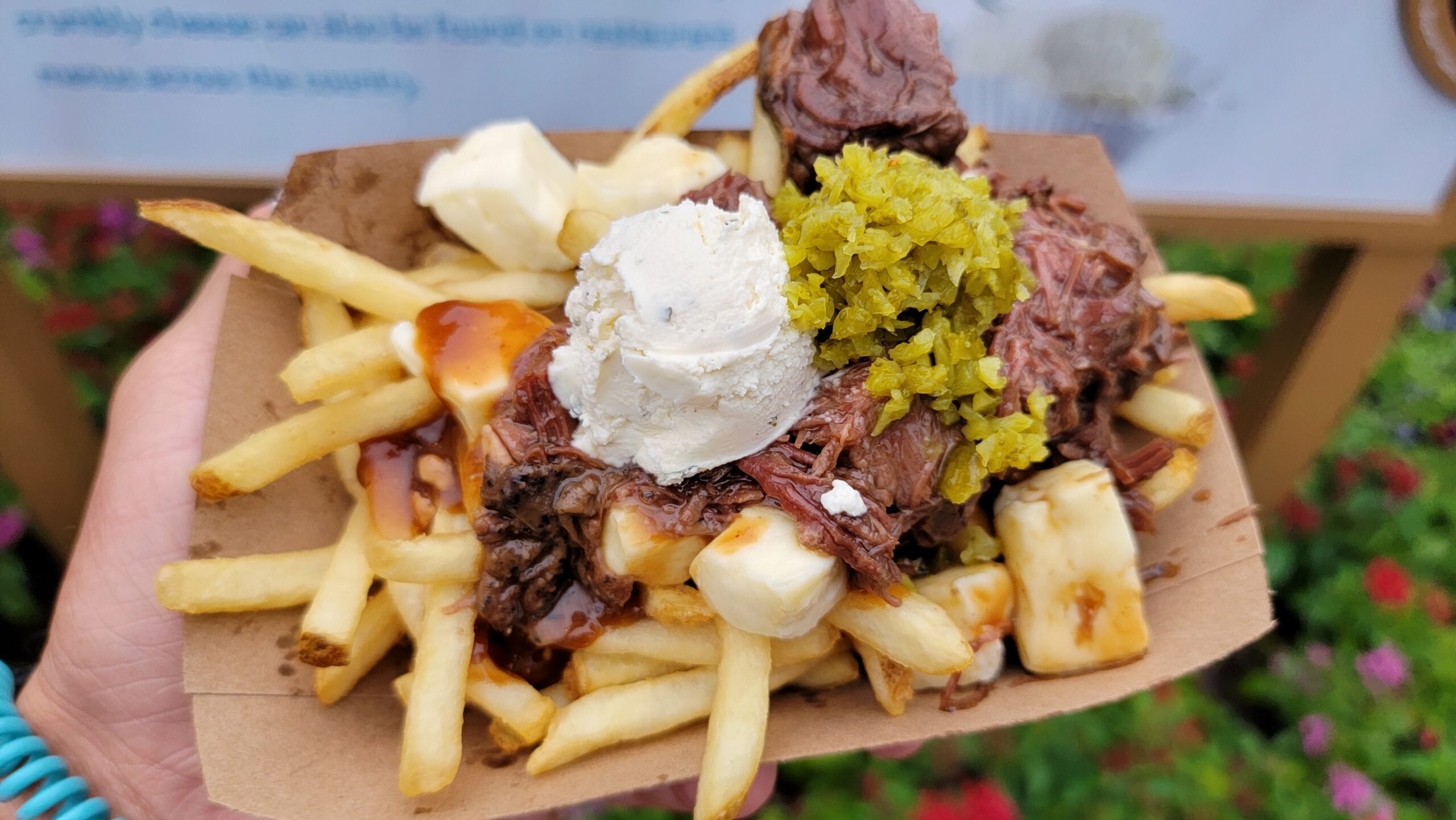 Beef Braised Poutine at the Refreshment Port is a winner | Chip and Company
