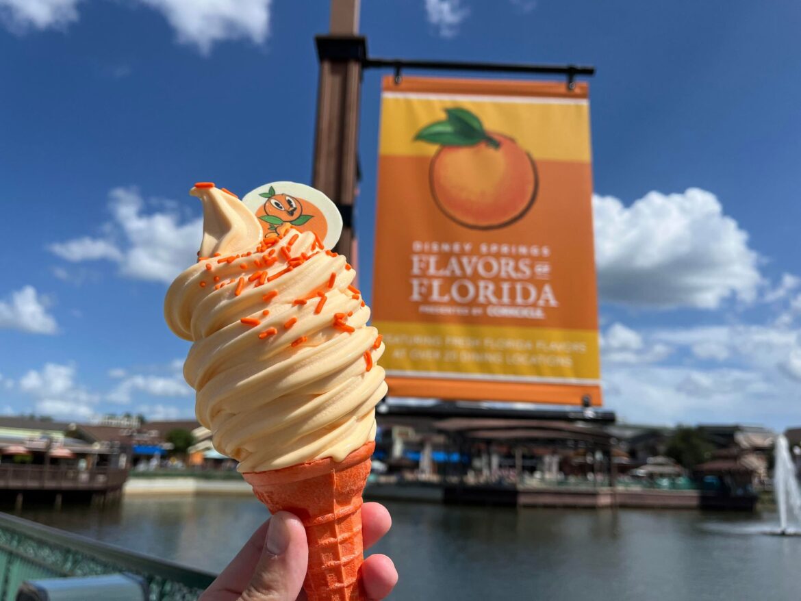 Orange Bird Cone is the Perfect Summer Treat | Chip and Company