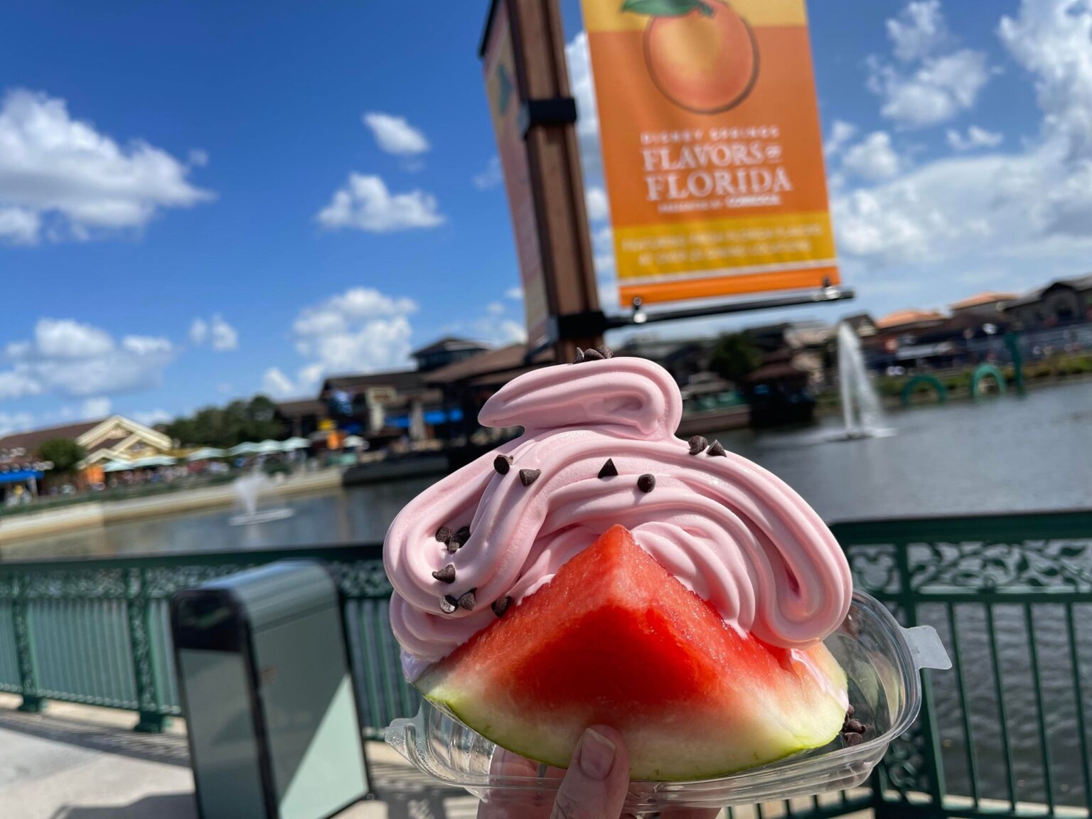 Watermelon Dole Whip returns to Walt Disney World for Summer | Chip and ...