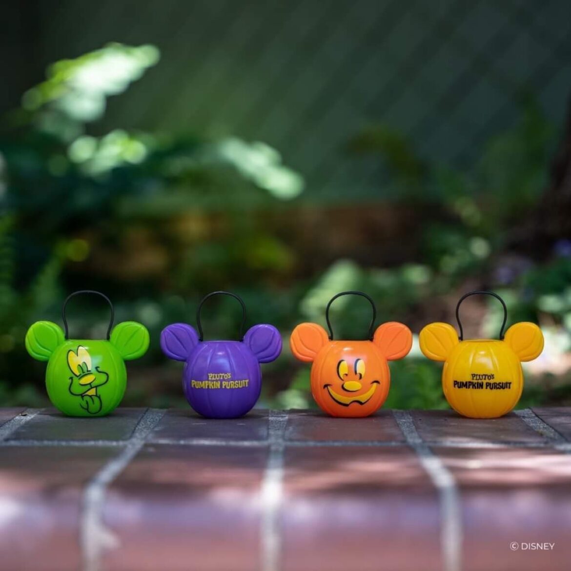 Disneyland Magic Key Pumpkin Hunt now available in Downtown Disney ...