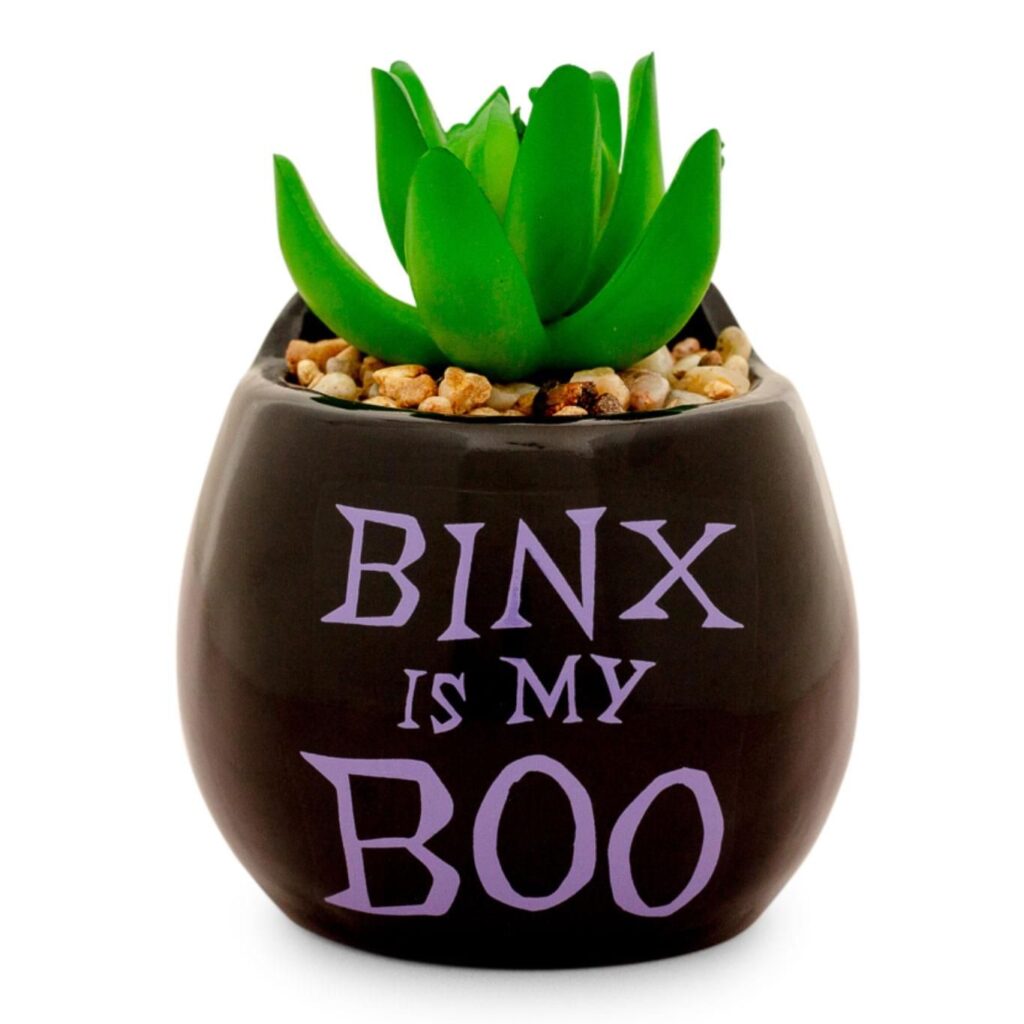 New Exclusive Hocus Pocus Home Decor From Toynk! | Chip and Company