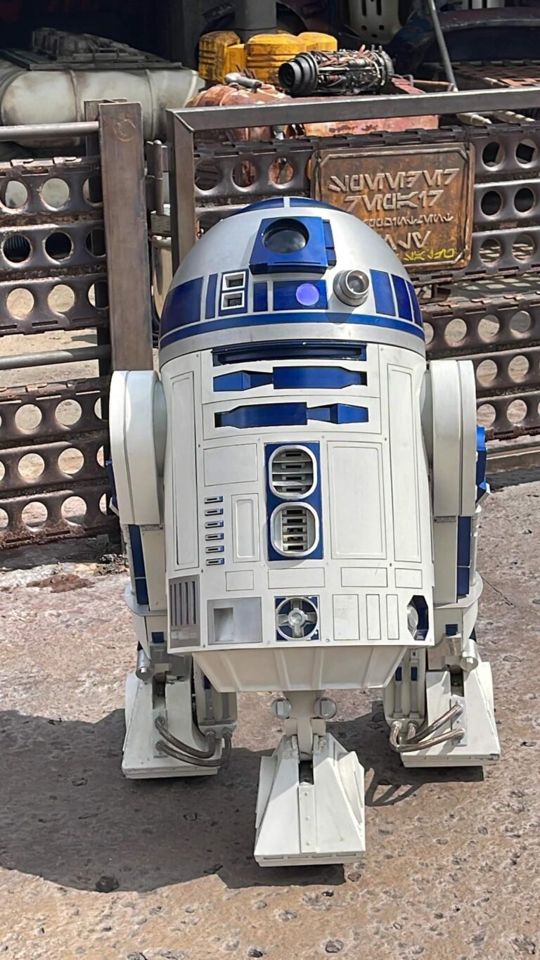 Rare R2-D2 Meet & Greet for Disney+ Day at Hollywood Studios | Chip and Company