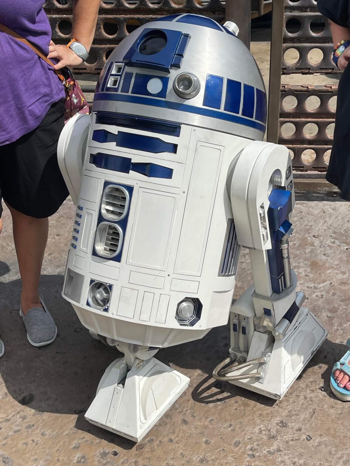 Rare R2-D2 Meet & Greet for Disney+ Day at Hollywood Studios | Chip and Company