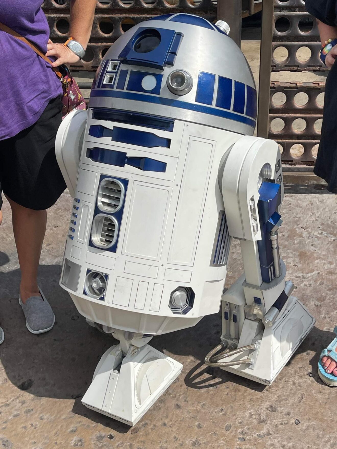 Rare R2-D2 Meet & Greet for Disney+ Day at Hollywood Studios | Chip and ...