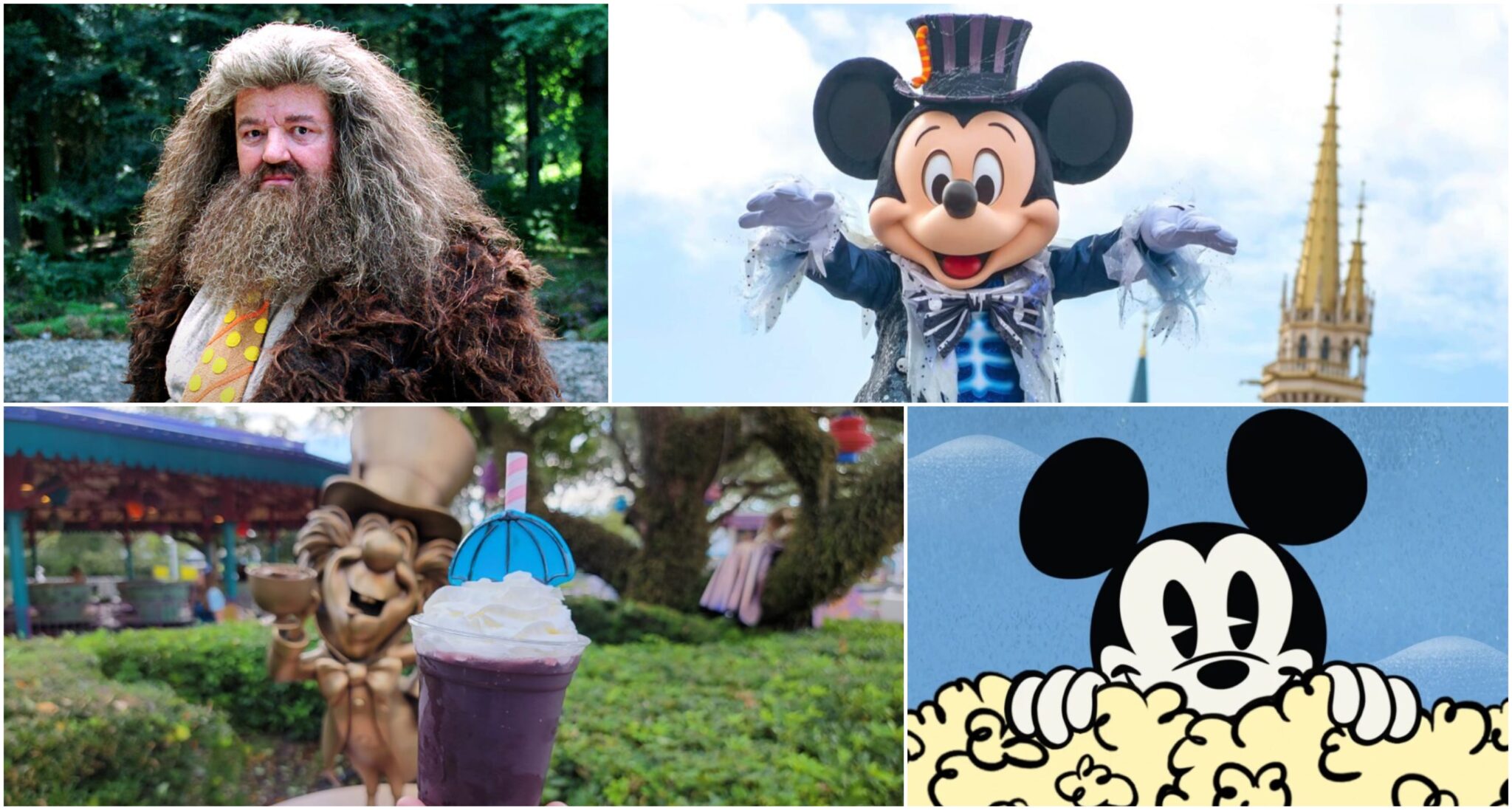 Disney News Round-Up: Harry Potter Legend Passes, New Snacks for the ...
