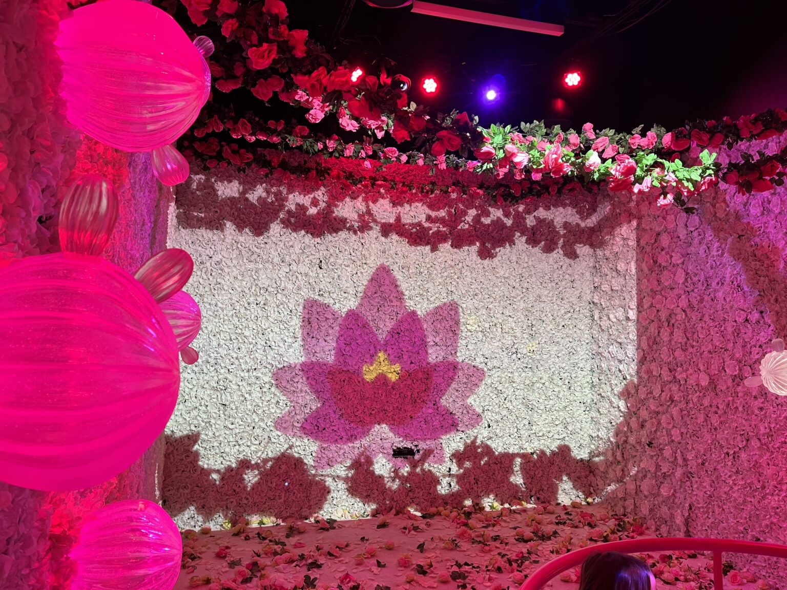 Disney's Exciting NEW Encanto X Camp Experience | Chip and Company
