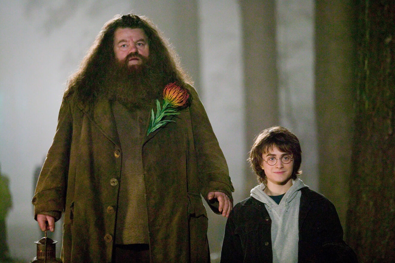Harry Potter actor Robbie Coltrane dies at 72 | Chip and Company