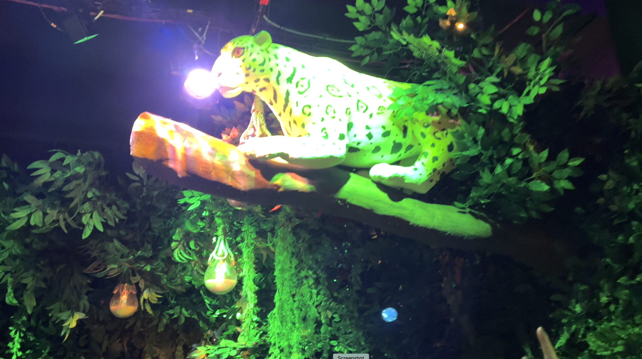 Disney's Exciting NEW Encanto X Camp Experience | Chip and Company