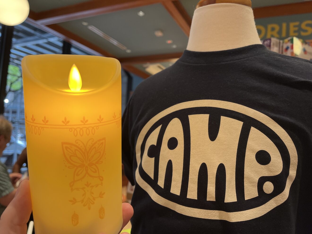 Disney's Exciting NEW Encanto X Camp Experience | Chip and Company