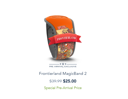 New Classic Magic Kingdom Pre-Arrival MagicBands now available | Chip ...