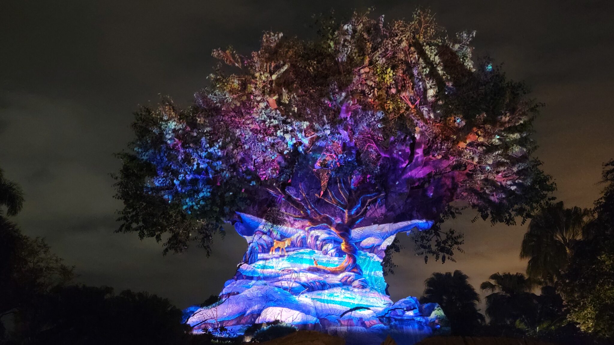 Tree of Life Awakenings in Disney's Animal Kingdom | Chip and Company