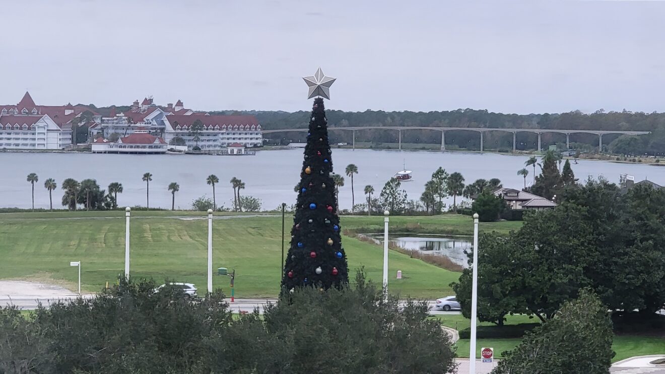 Disney's Contemporary Resort Christmas Tree is up | Chip and Company