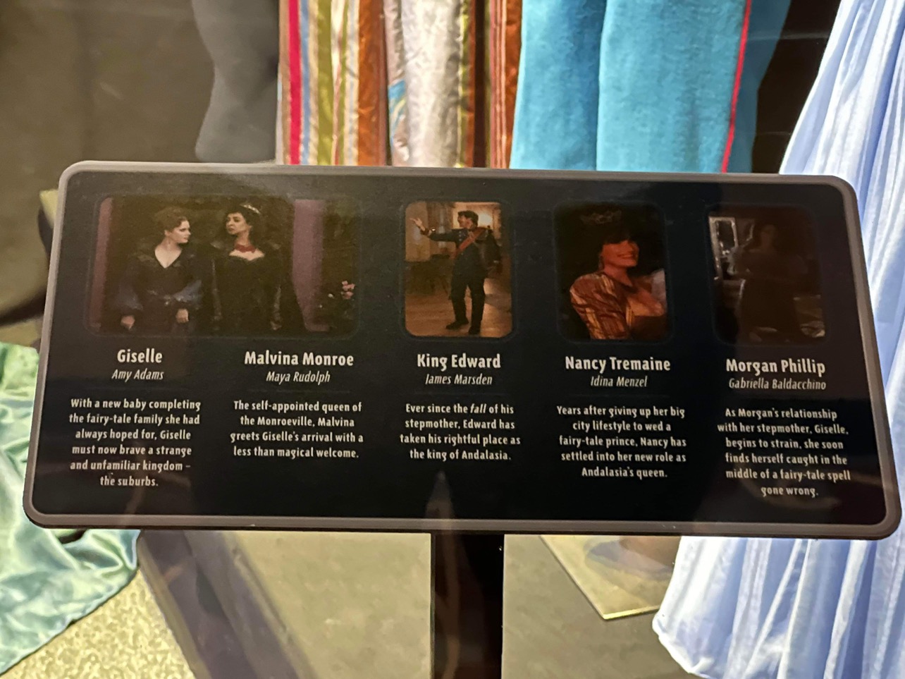 Disenchanted Outfits on Display at Hollywood Studios | Chip and Company