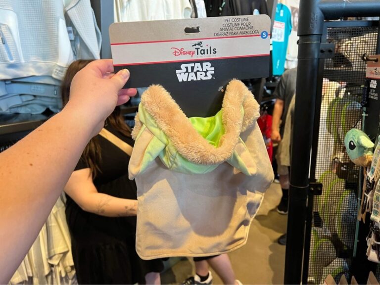 Star Wars Pet Merchandise Spotted At Disney Springs! | Chip and Company
