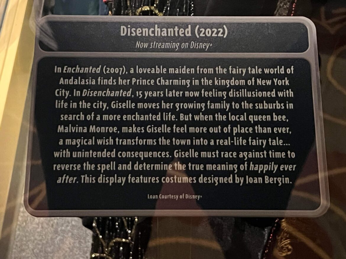 Disenchanted Outfits on Display at Hollywood Studios | Chip and Company