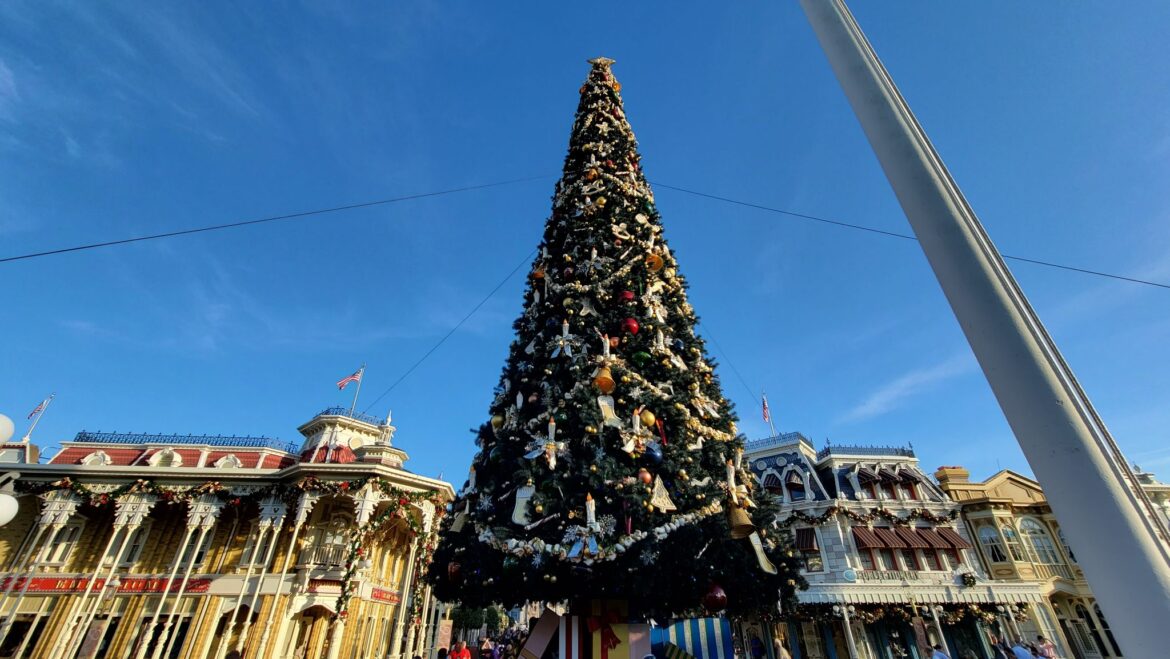 Giant Christmas Tree and More Holiday Decorations Arrive at the Magic ...