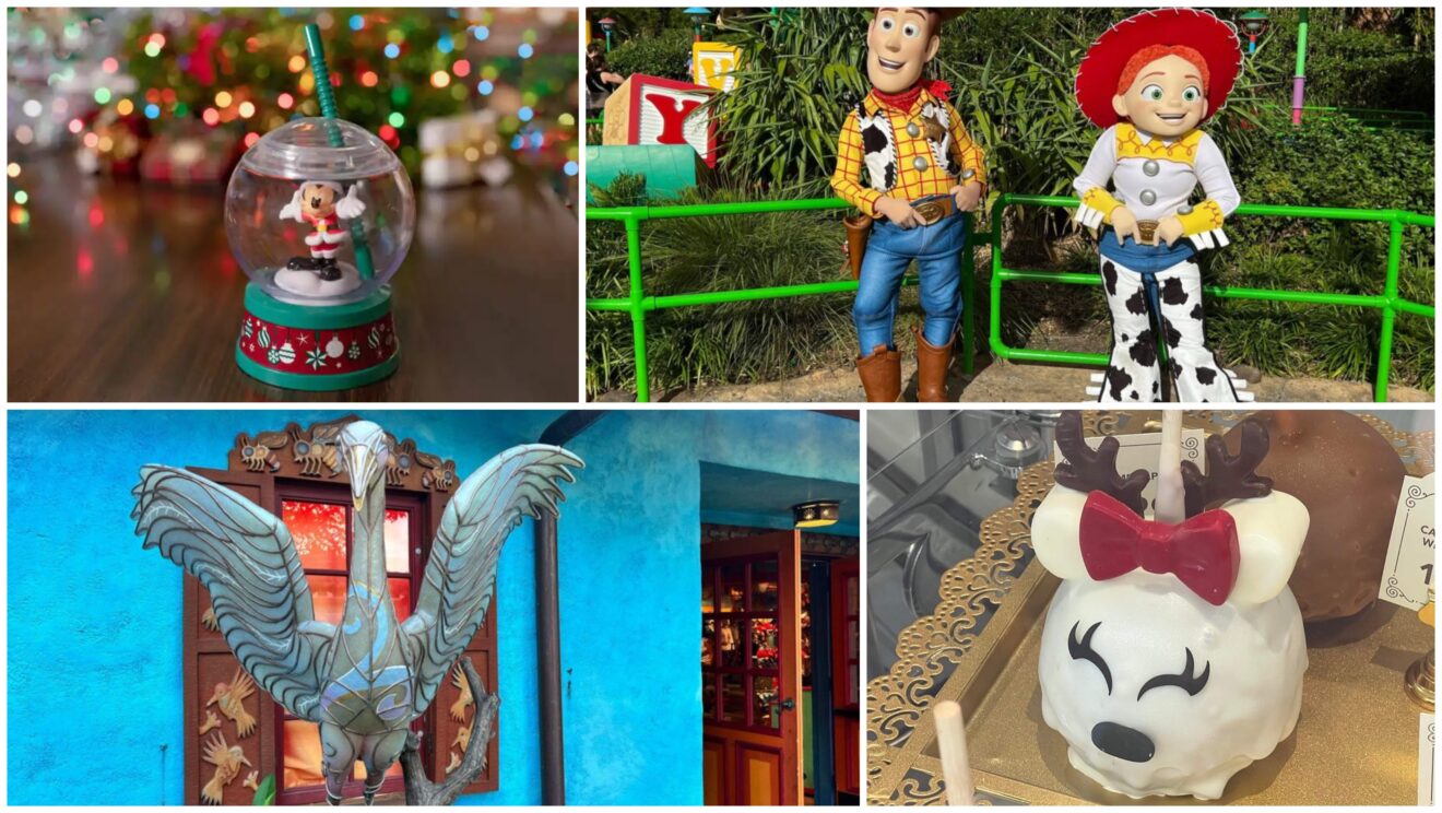 Disney News Round-Up: Protest Coming to Walt Disney World, Potential ...