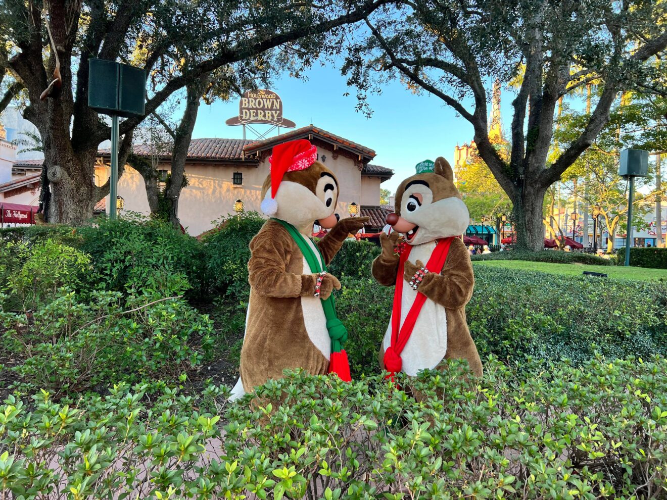 Chip and Dale Appearing in their Holiday Outfits at Hollywood Studios ...