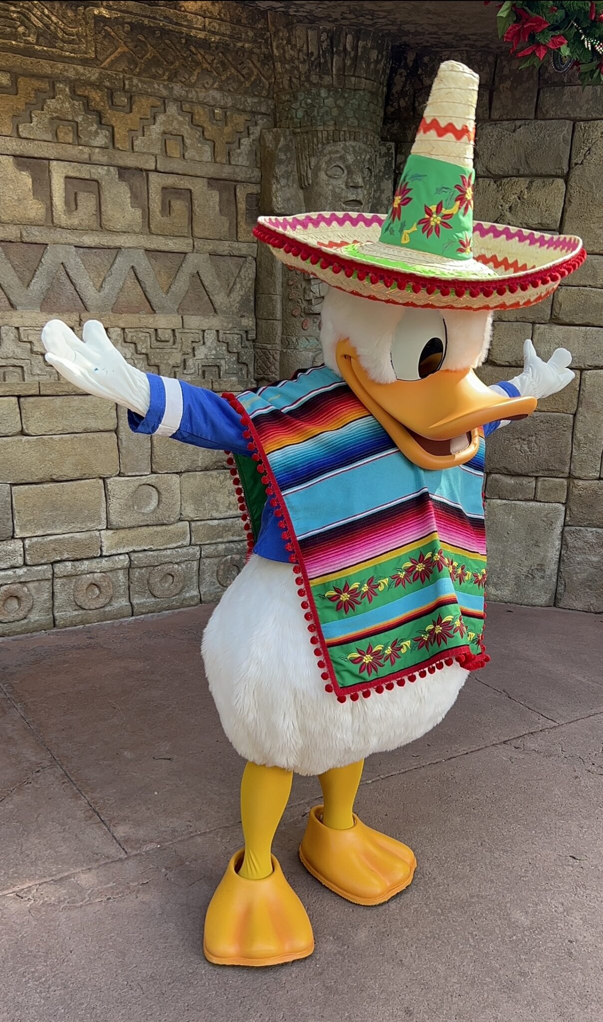 Donald Duck looks pretty Festive for the Holidays in Epcot | Chip and ...