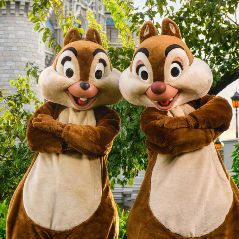 Annual Passholders can Save Up to 25% on Rooms at Select Disney World Resort Hotels in Early ...