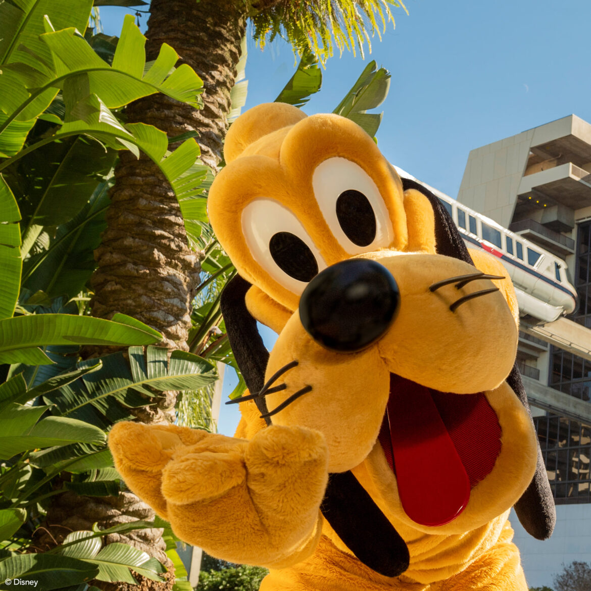 Annual Passholders can Save Up to 25% on Rooms at Select Disney World Resort Hotels in Early ...