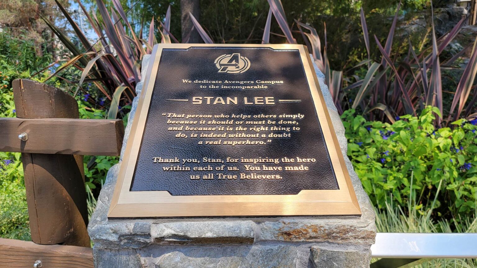 Stan Lee Documentary Coming to Disney+ | Chip and Company