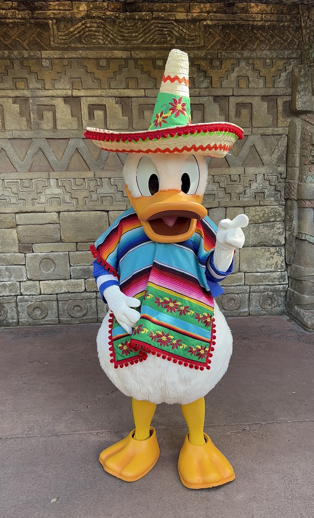 Donald Duck looks pretty Festive for the Holidays in Epcot | Chip and ...