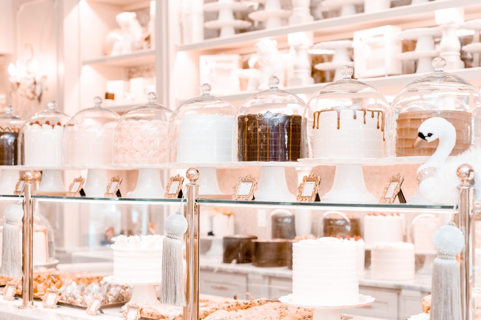 NEW Details Revealed for The Cake Bake Shop Coming to Disney’s ...