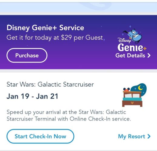 Disney Genie+ Hits its Highest Price Point Once Again TODAY | Chip and ...