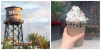 Holiday Peppermint Chocolate Milk Boba Tea in Disney Springs Will Get ...