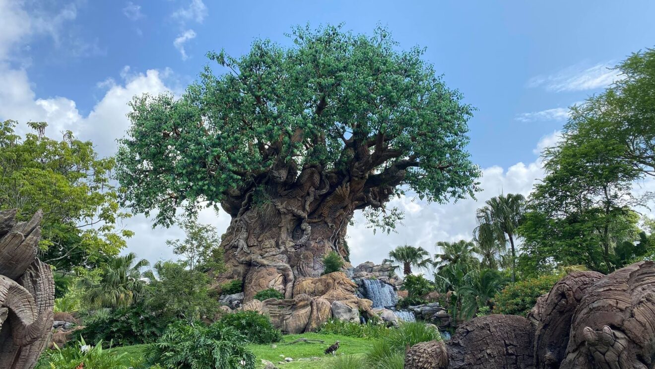 Tree of Life in Animal Kingdom Refurbishment to Begin on January 15th ...