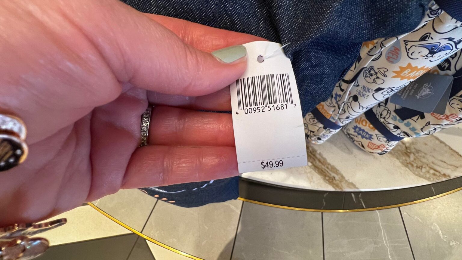 Pet Collection Sidekicks of Disney Spotted at Disney World | Chip and ...