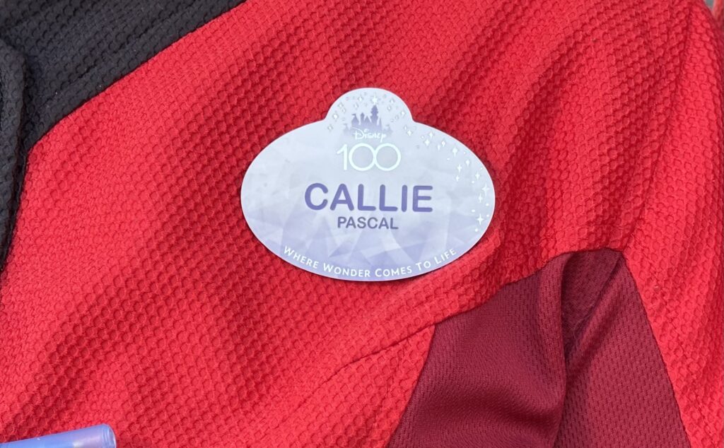 Most Popular Disney100 Name Tag Design Chosen By Disneyland Cast ...