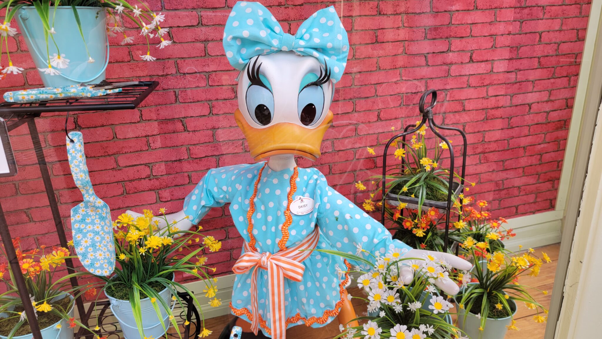 Daisy Duck Receives New Window on Main Street USA in the Magic Kingdom ...