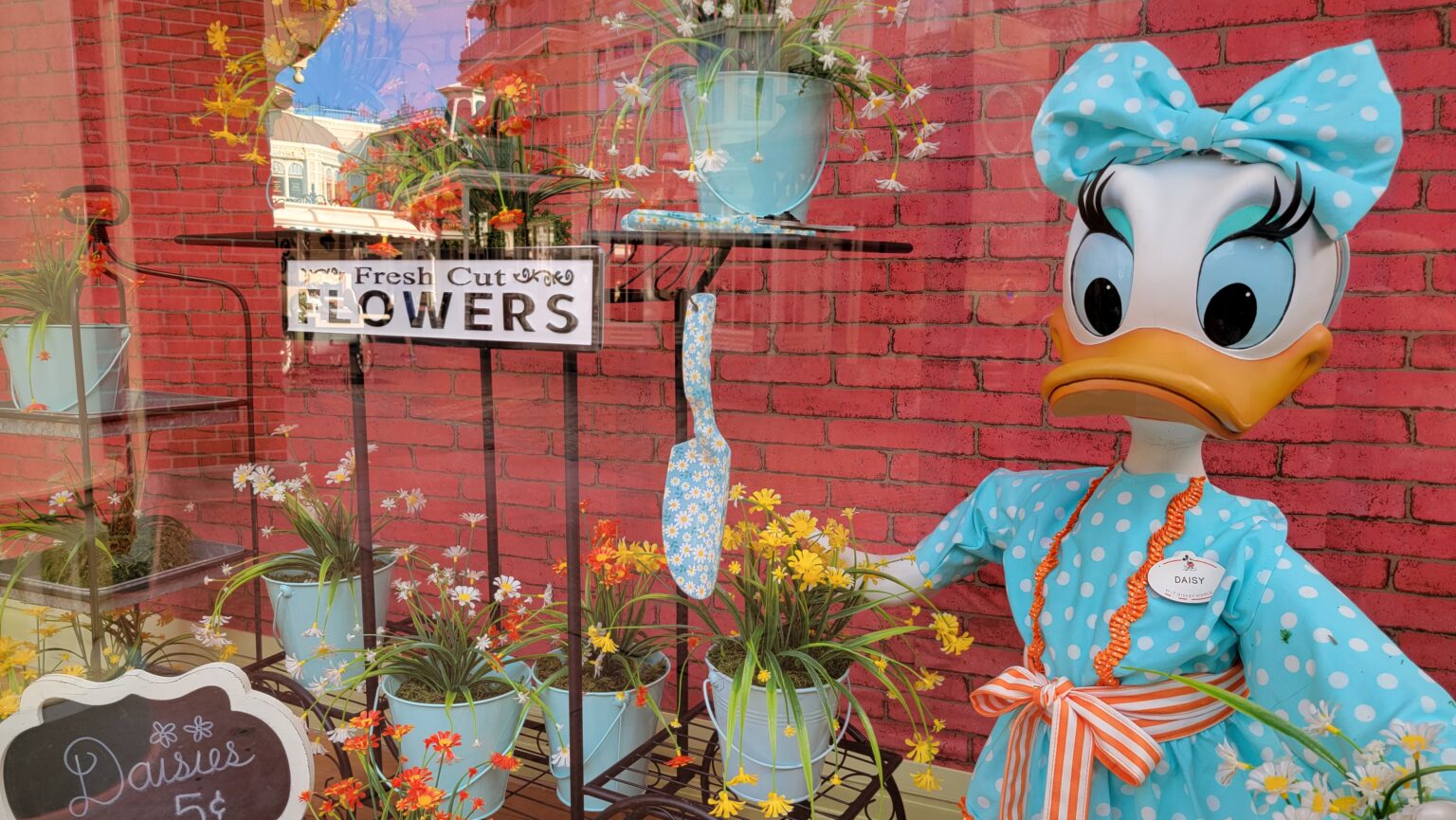 Daisy Duck Receives New Window on Main Street USA in the Magic Kingdom ...