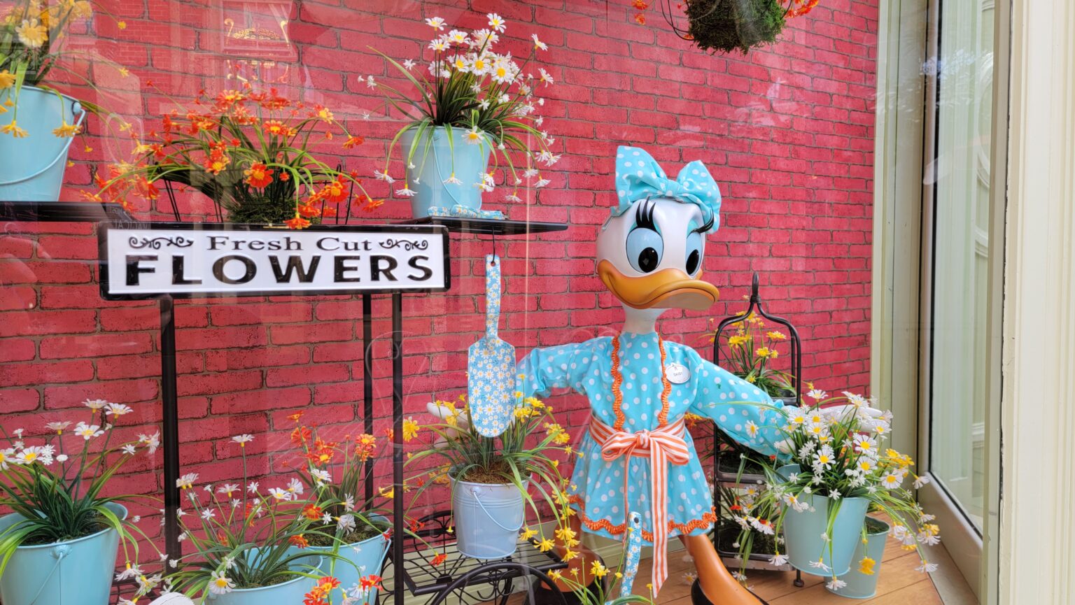 Daisy Duck Receives New Window on Main Street USA in the Magic Kingdom ...