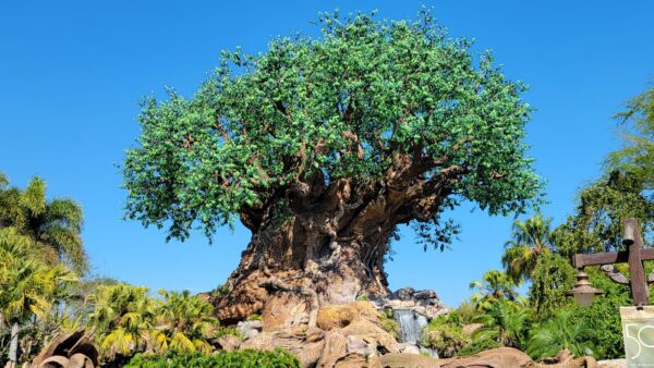 Disney News Round-Up: Pick-a-Pearl in Epcot Reopens, Disney Springs ...