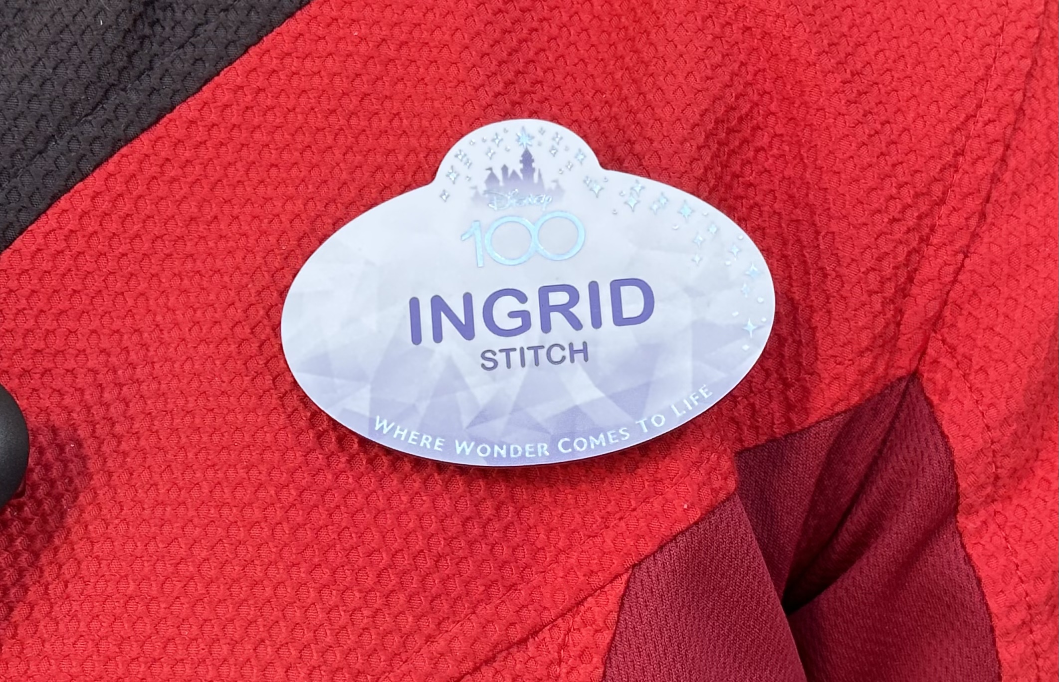 Most Popular Disney100 Name Tag Design Chosen By Disneyland Cast ...