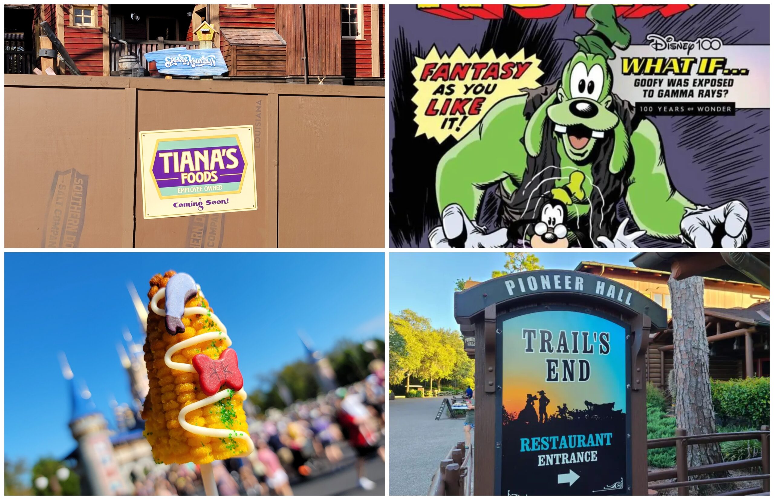 Disney News Round-Up: DeSantis Wins This Round, Expanded Housekeeping ...