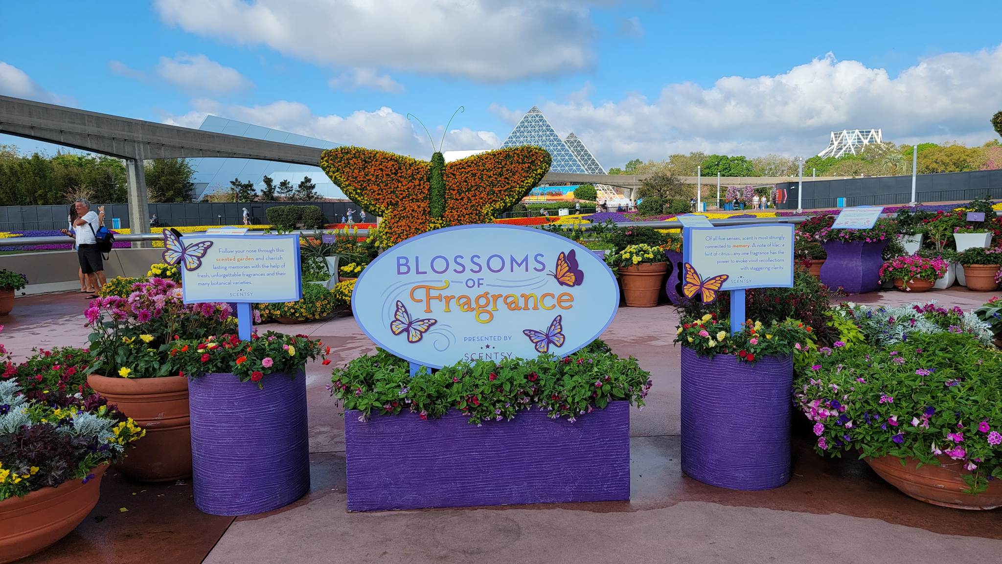 Photos: Blossoms of Fragrance from Scentsy returns to the 2023 EPCOT ...