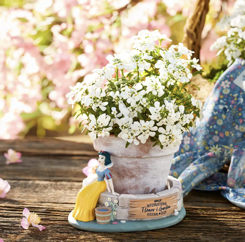 Create An Enchanting Garden With The New Snow White Flower & Garden ...