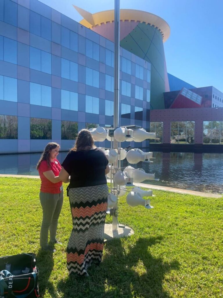Purple Martins Start Their Families at Walt Disney World | Chip and Company