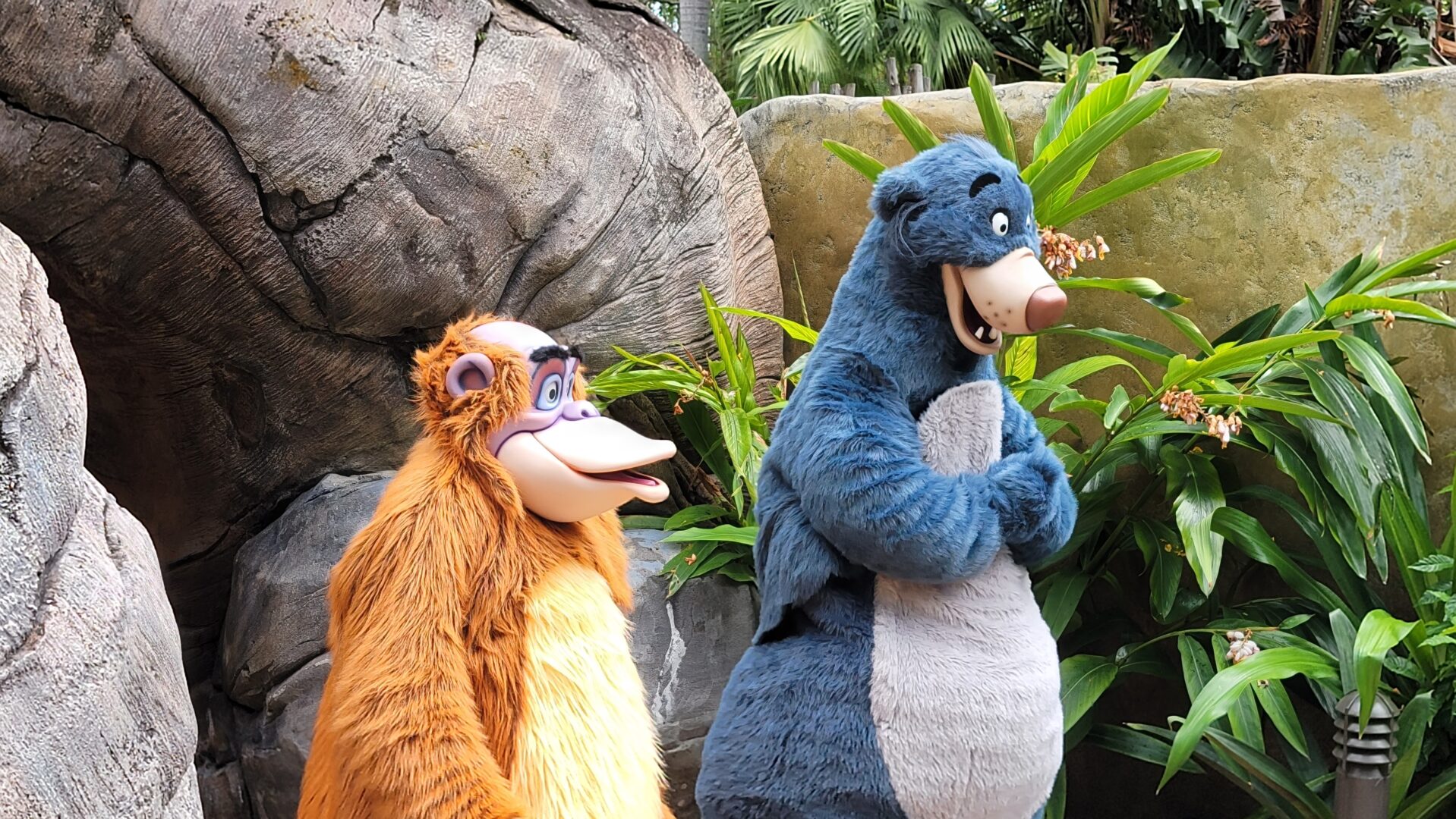 Jungle Book Baloo and King Louis Meet & Greet at Disney's Animal ...