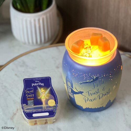 Let your imagination take flight with the Disney Peter Pan Collection ...