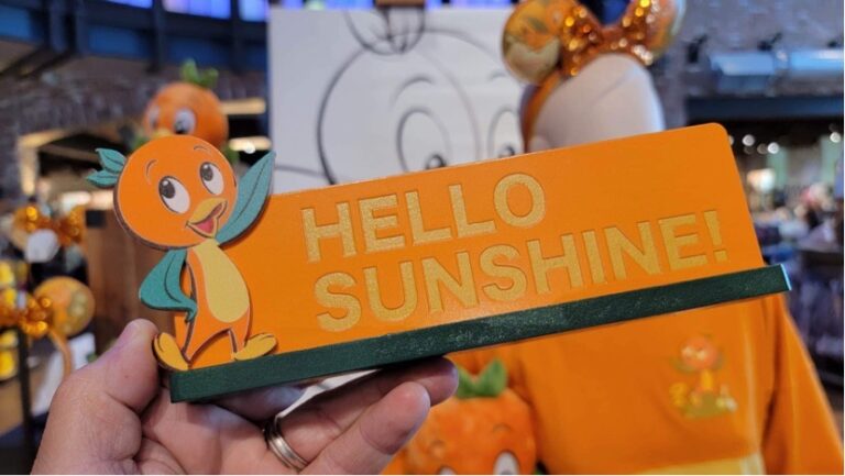 New Orange Bird Collection Available At Disney World! | Chip and Company